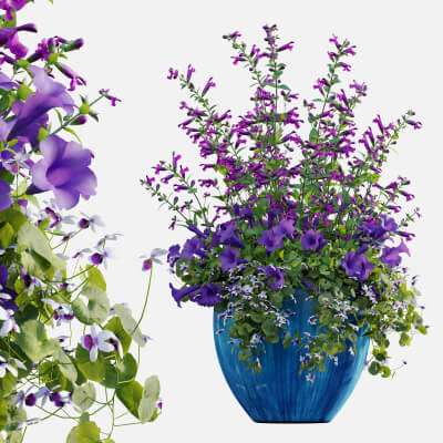 Pot Plant 02 - 3D Model by 3DTree Team