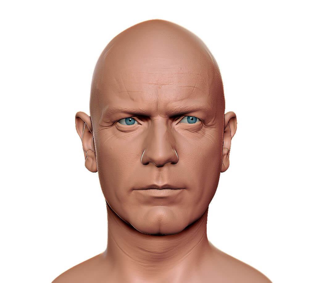Male Base Head - 3D Model by 3dwall