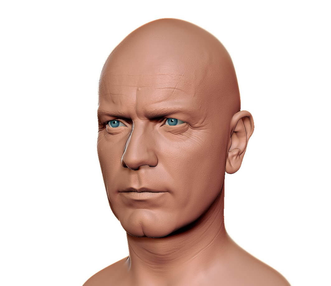 Male Base Head - 3D Model by 3dwall