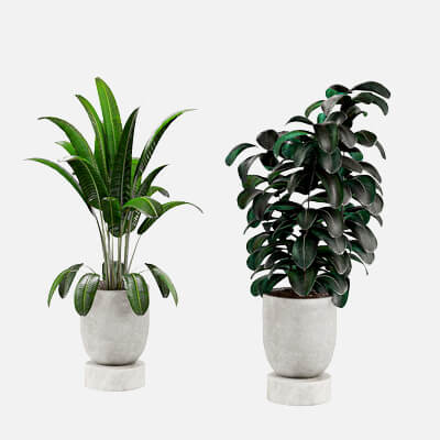 Uv Mapped Models | Plants | Plants | RenderHub