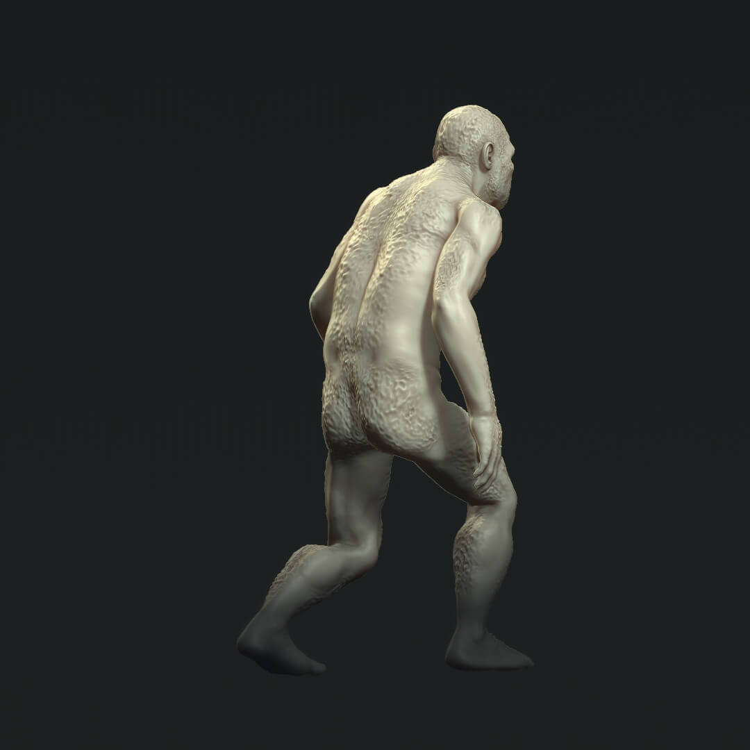 Homo Habilis - 3D Model by 94NOIZE