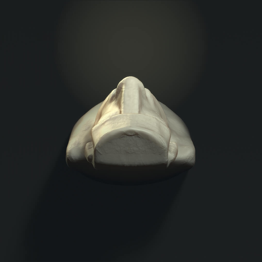 Moai Statues From Easter Island - 3D Model by 94NOIZE