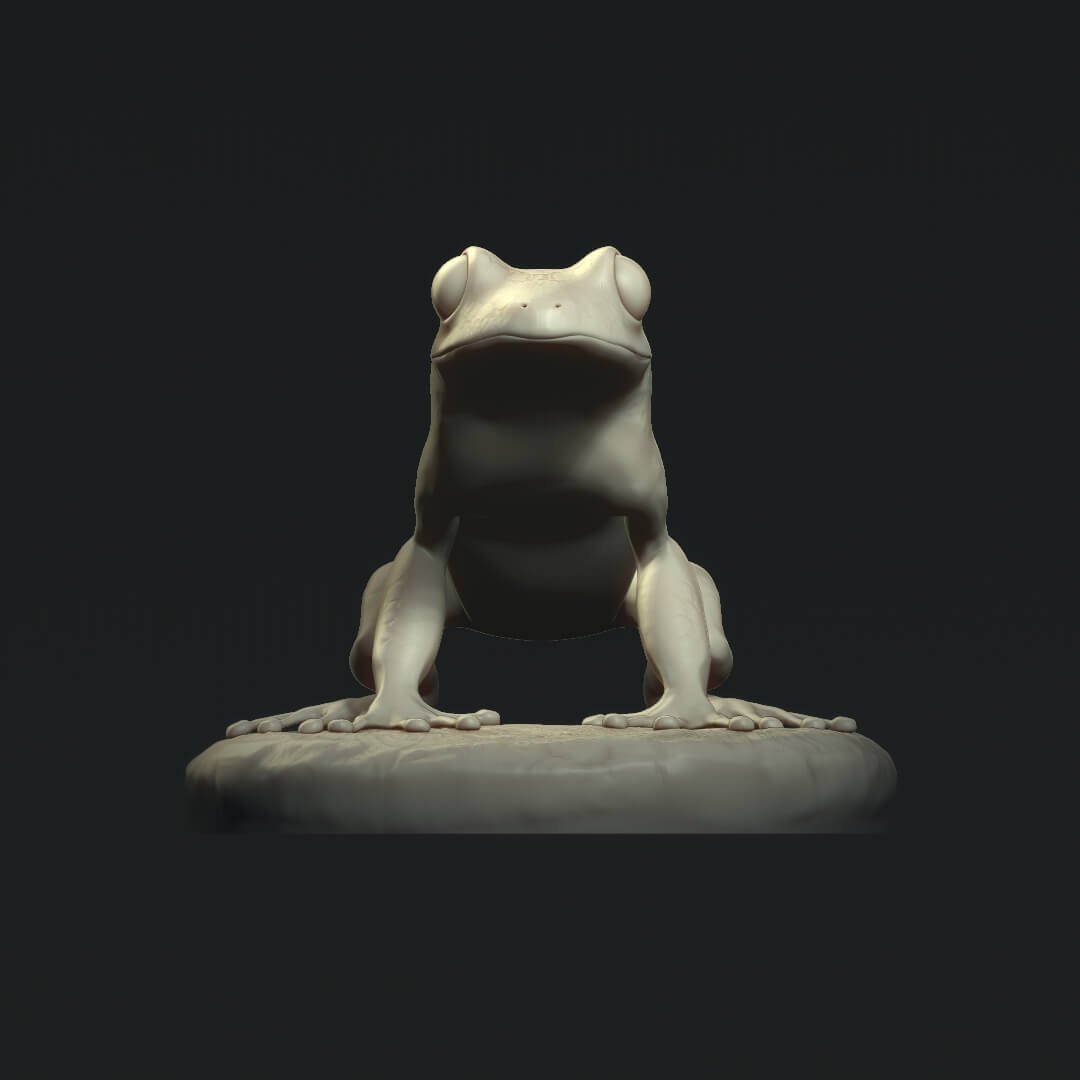 Wooden Amazonian Frog - 3D Model by 94NOIZE