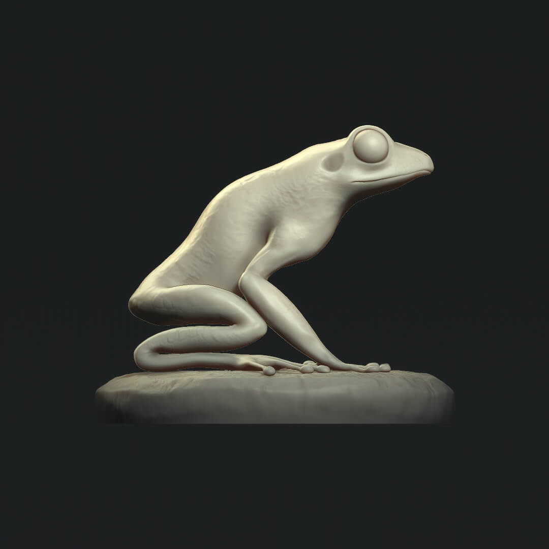 Wooden Amazonian Frog - 3D Model by 94NOIZE