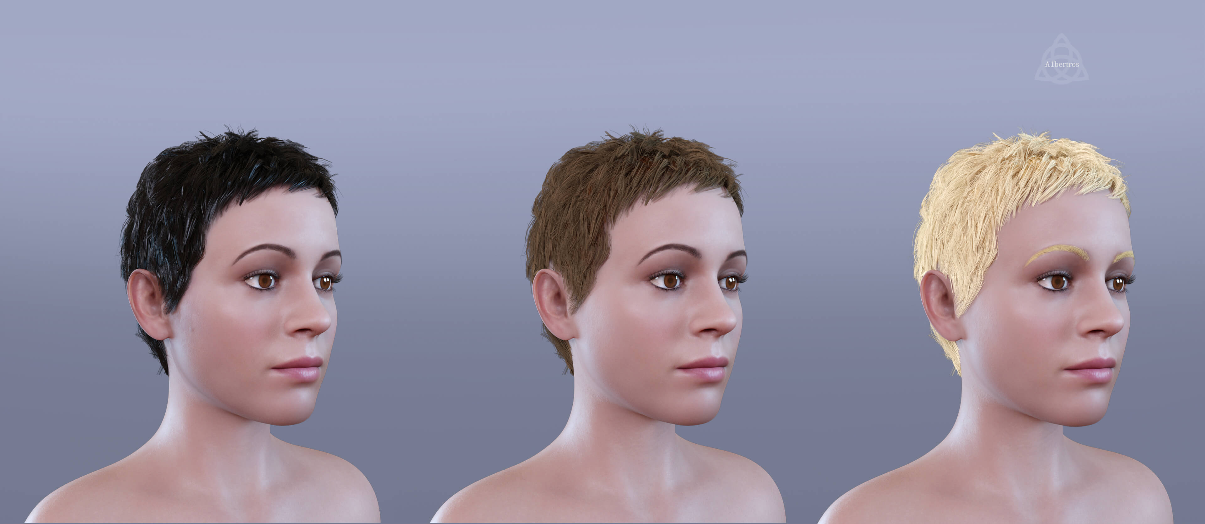 Phoebe Hair for G8F & G9 - Daz Content by A1bertros