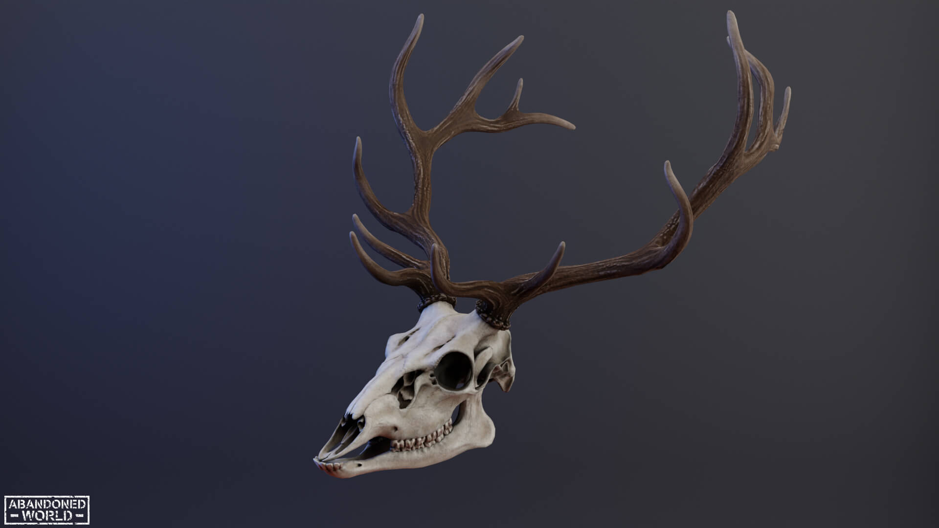 Deer Skull Collection - 3D Model by Abandoned World