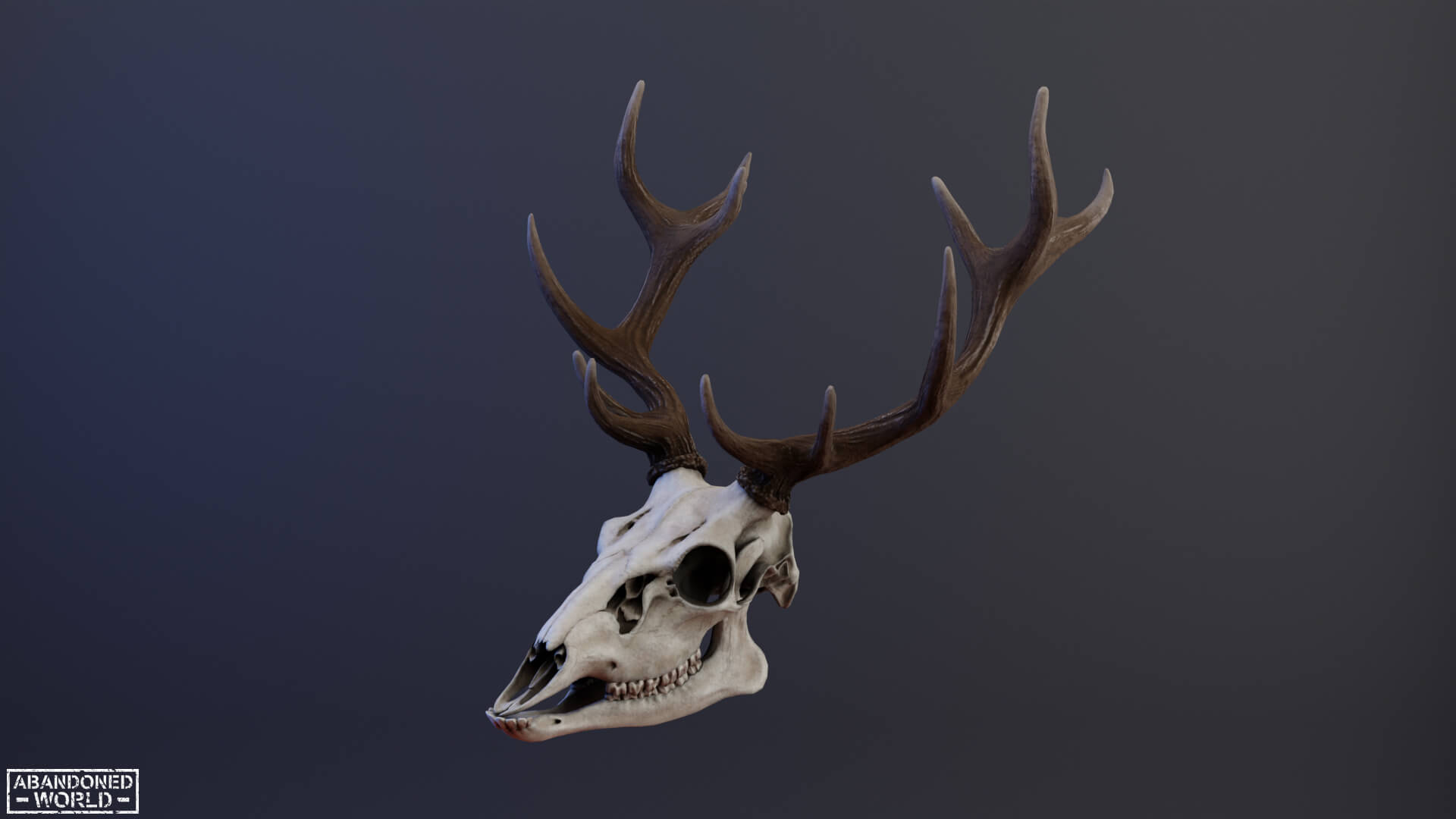 Deer Skull Collection - 3D Model by Abandoned World