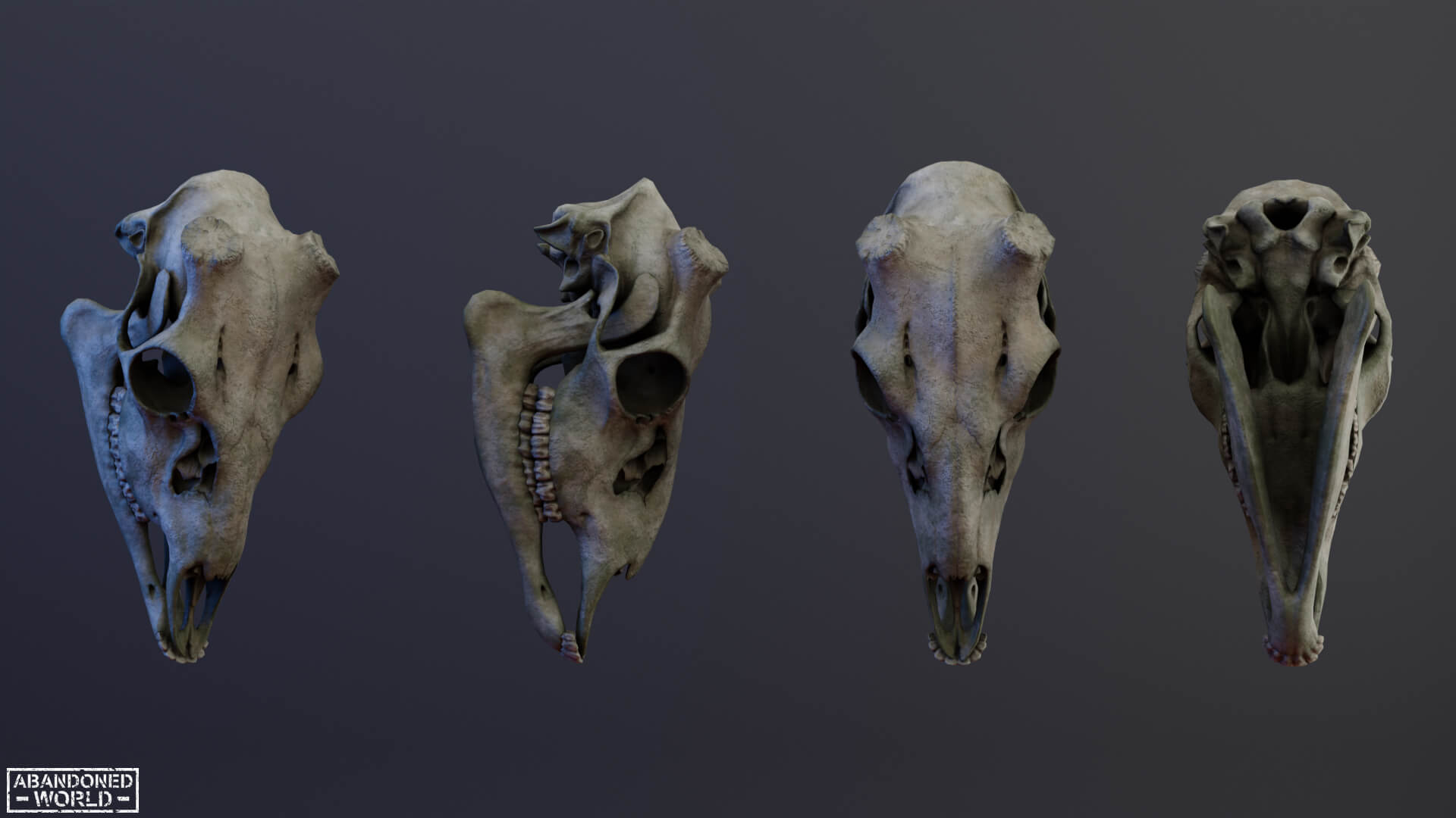Deer Skull Collection - 3D Model by Abandoned World