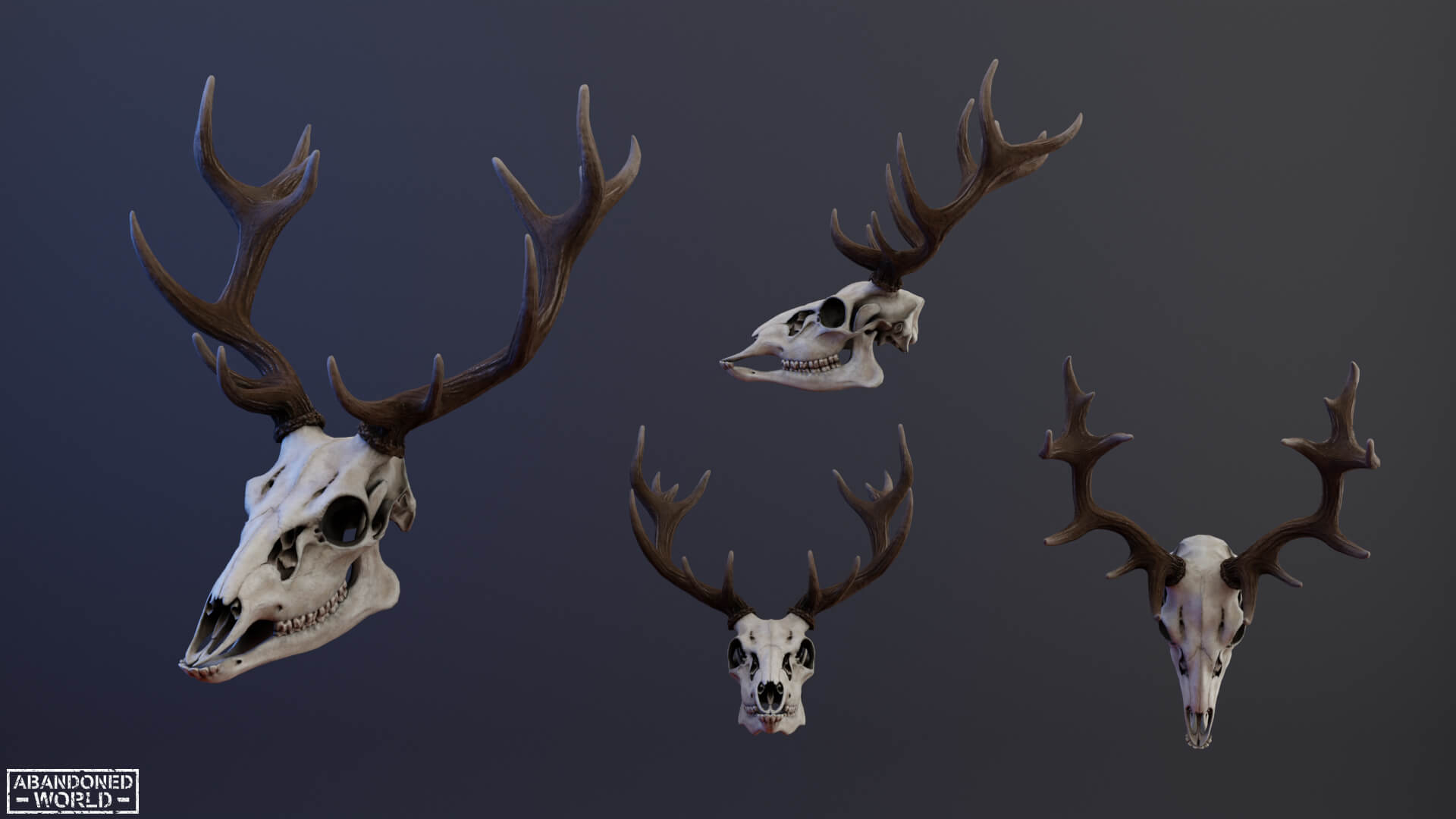 Deer Skull Collection - 3D Model by Abandoned World