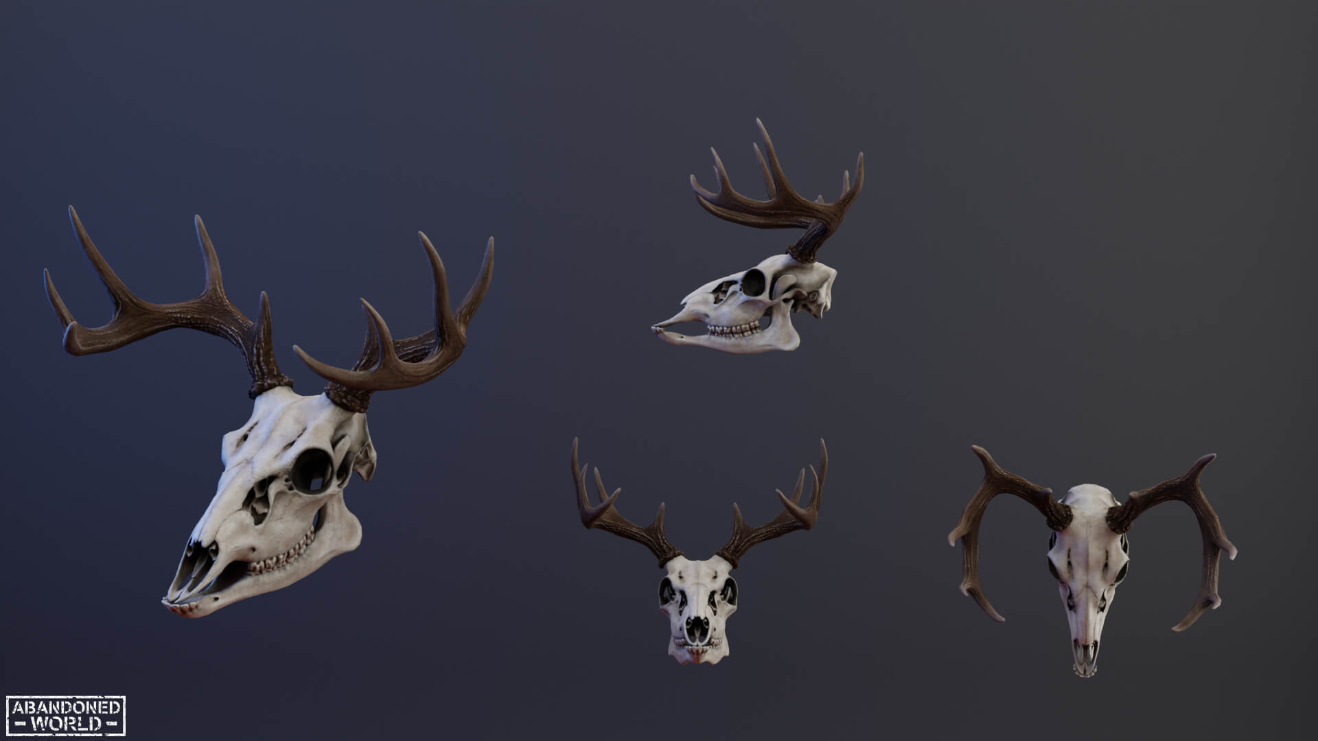 Deer Skull Collection - 3D Model by Abandoned World