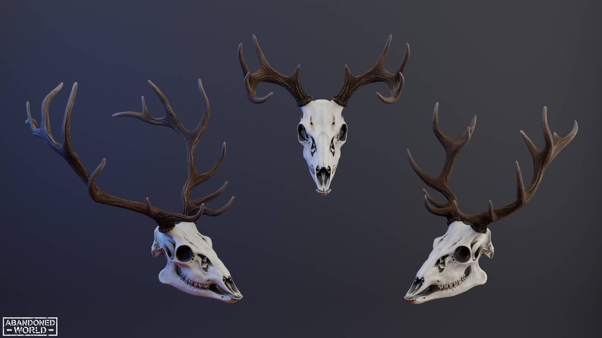 Deer Skull Collection - 3D Model by Abandoned World