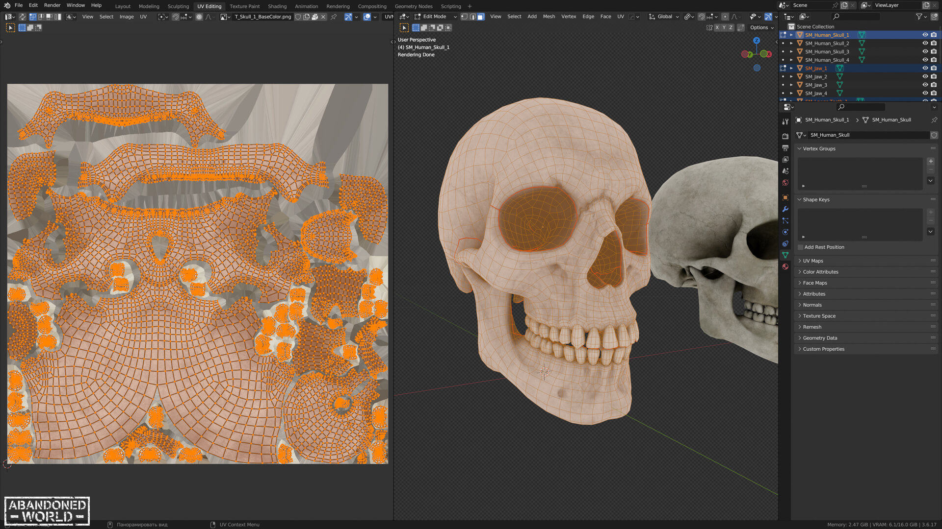 Old Human Skull - 3D Model by Abandoned World
