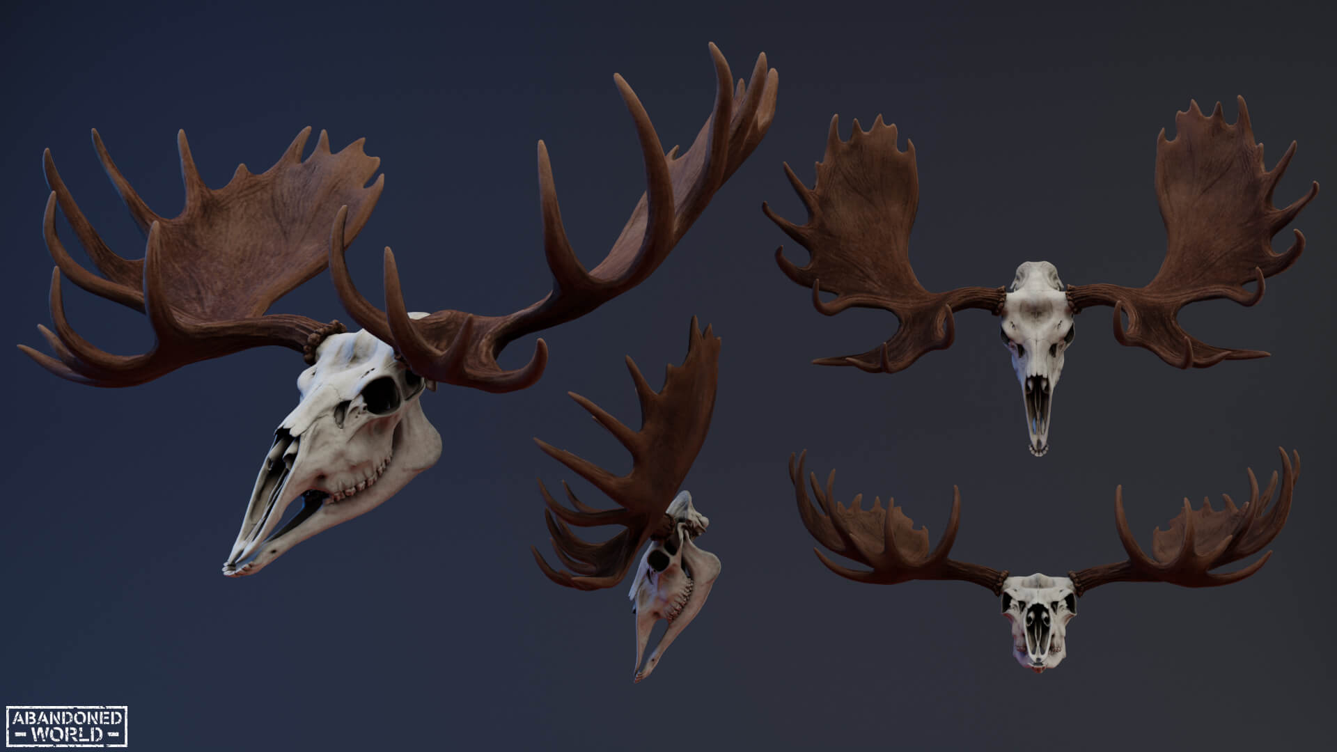 Moose Skull Collection - 3D Model by Abandoned World
