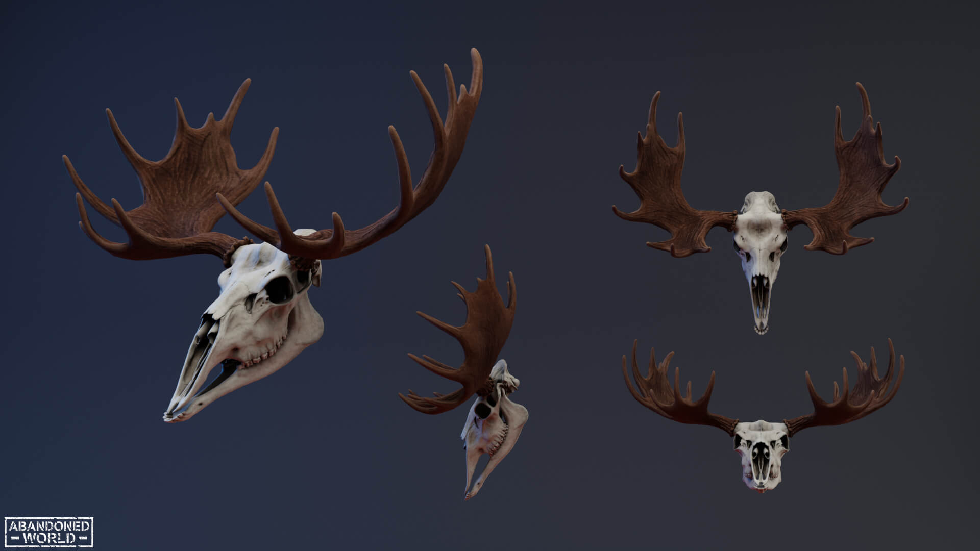 Moose Skull Collection - 3D Model by Abandoned World