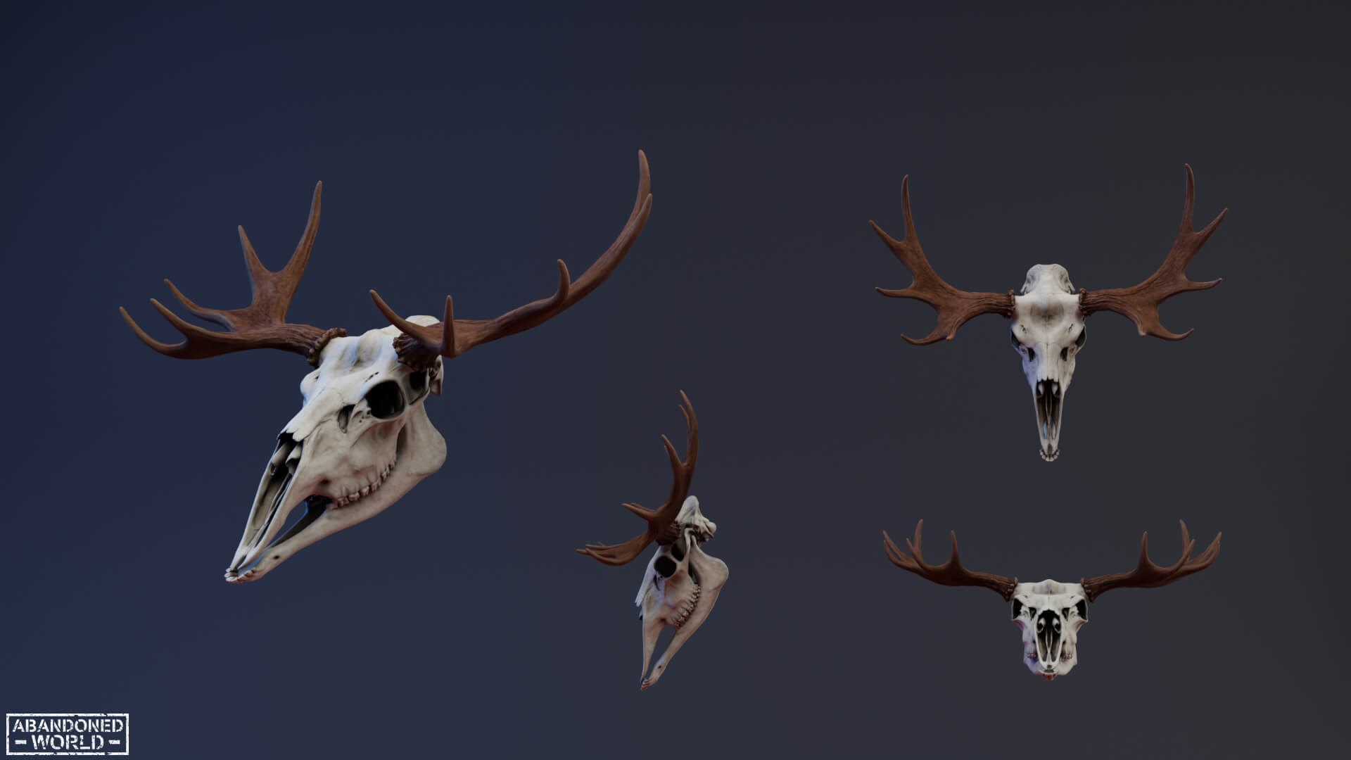 Moose Skull Collection - 3D Model by Abandoned World