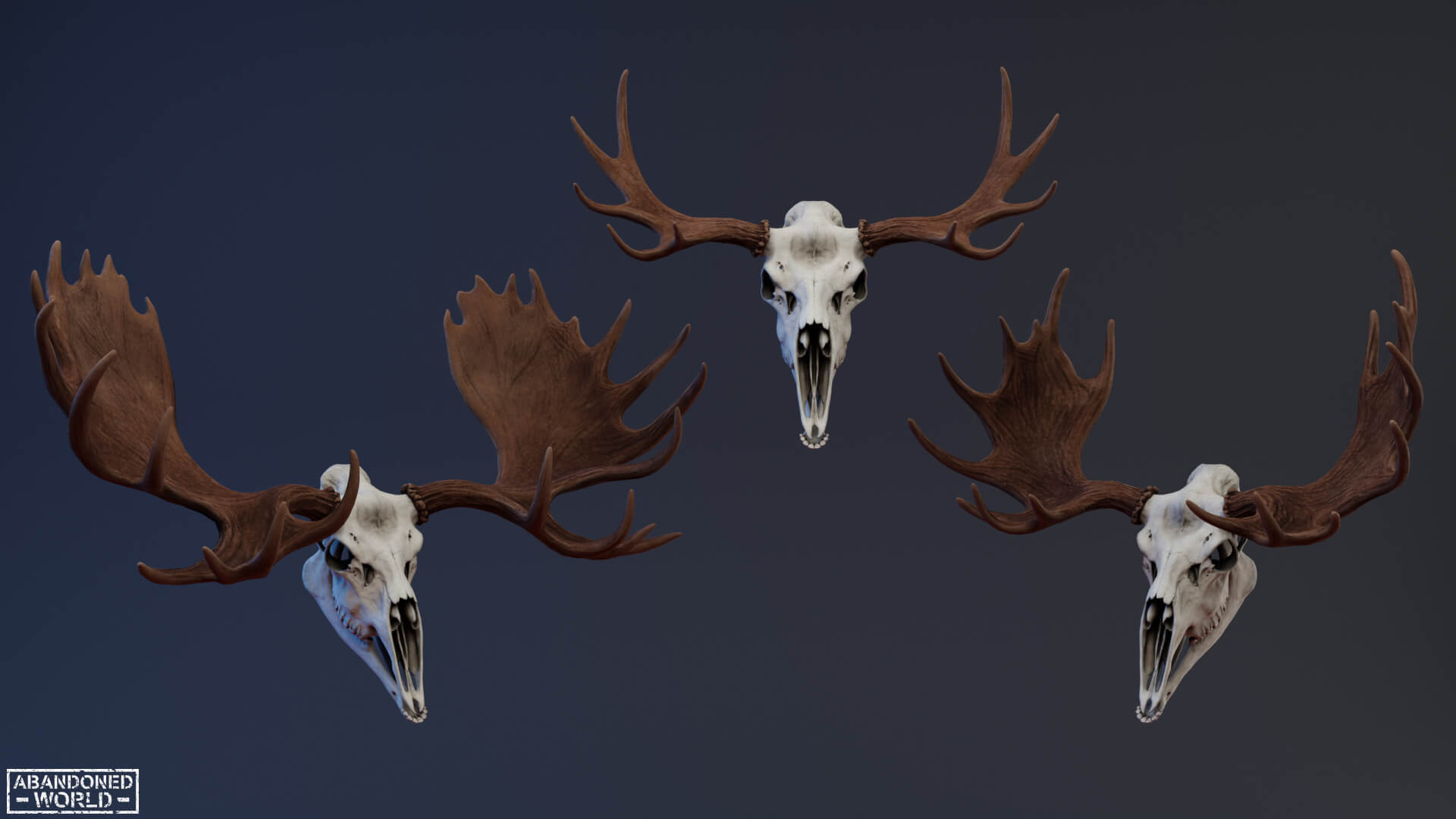 Moose Skull Collection - 3D Model by Abandoned World