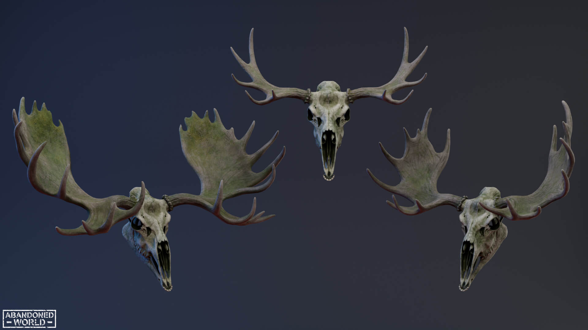 Moose Skull Collection - 3D Model by Abandoned World