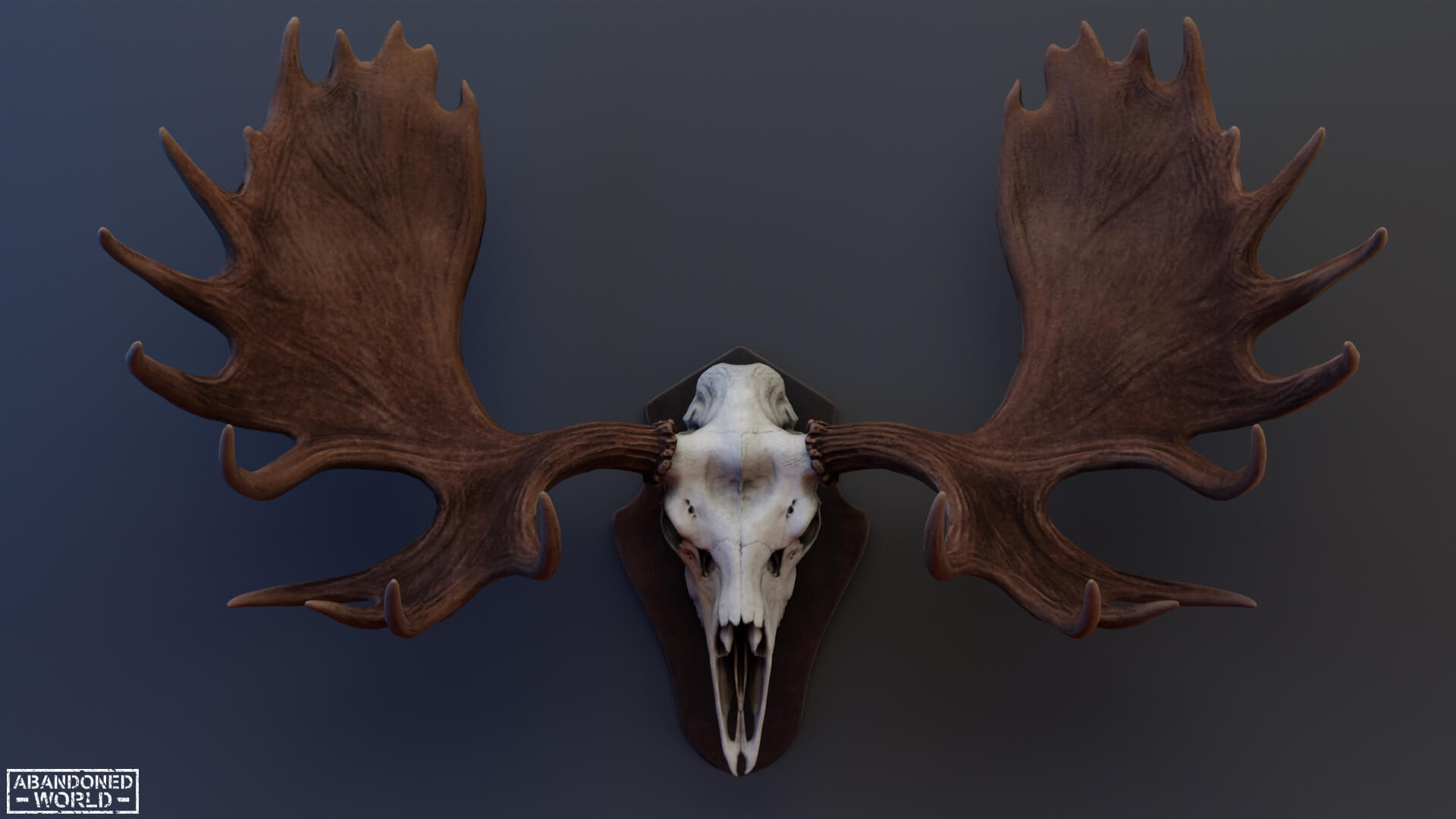 Moose Skull Collection - 3D Model by Abandoned World