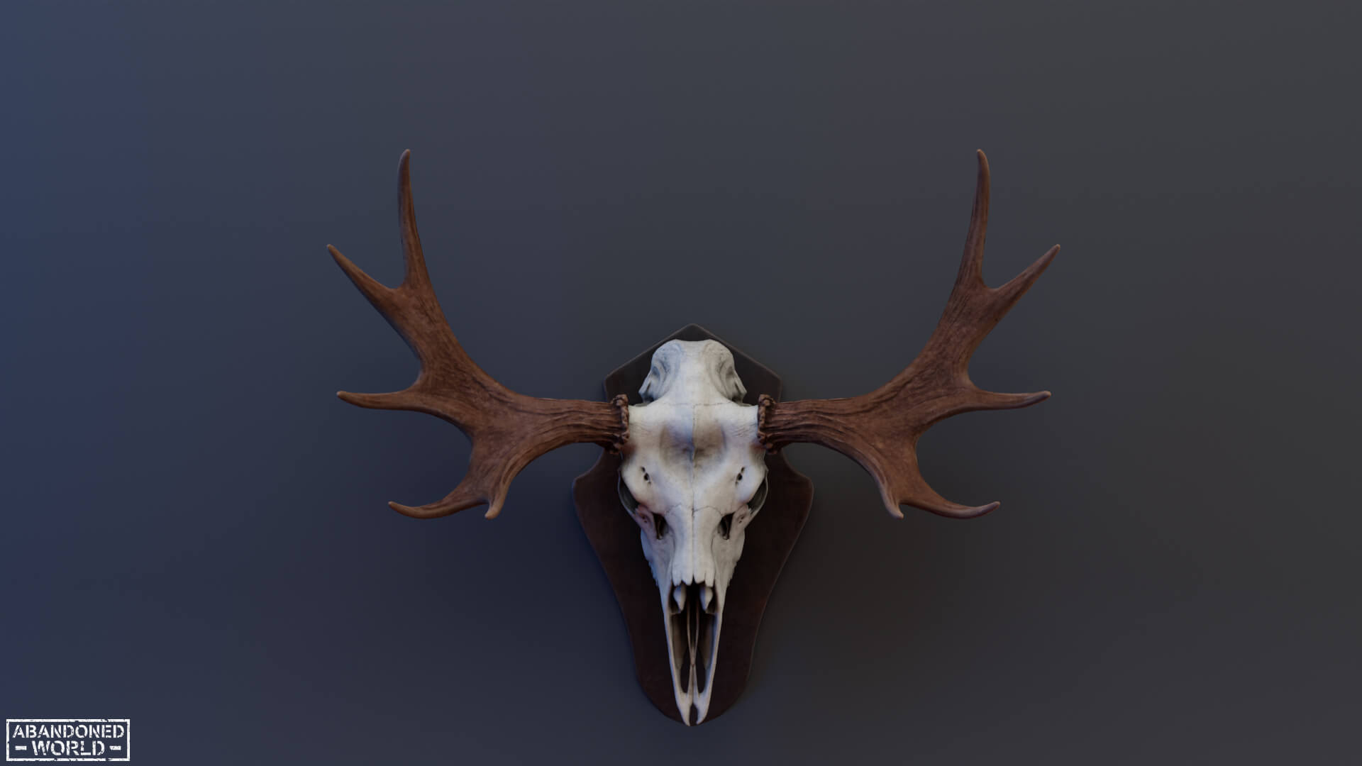 Moose Skull Collection - 3D Model by Abandoned World