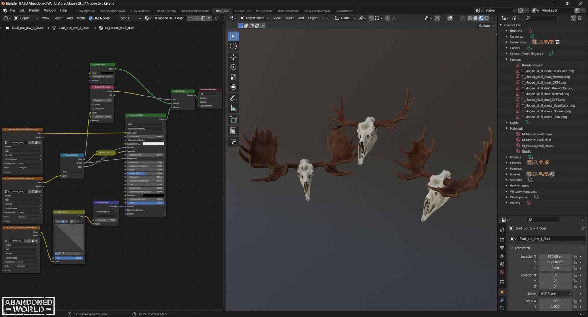 Moose Skull Collection - 3D Model by Abandoned World