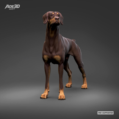 Doberman Pinscher Natural Ears Docked Tail 3D Print Pose 07 by Ade3DArt