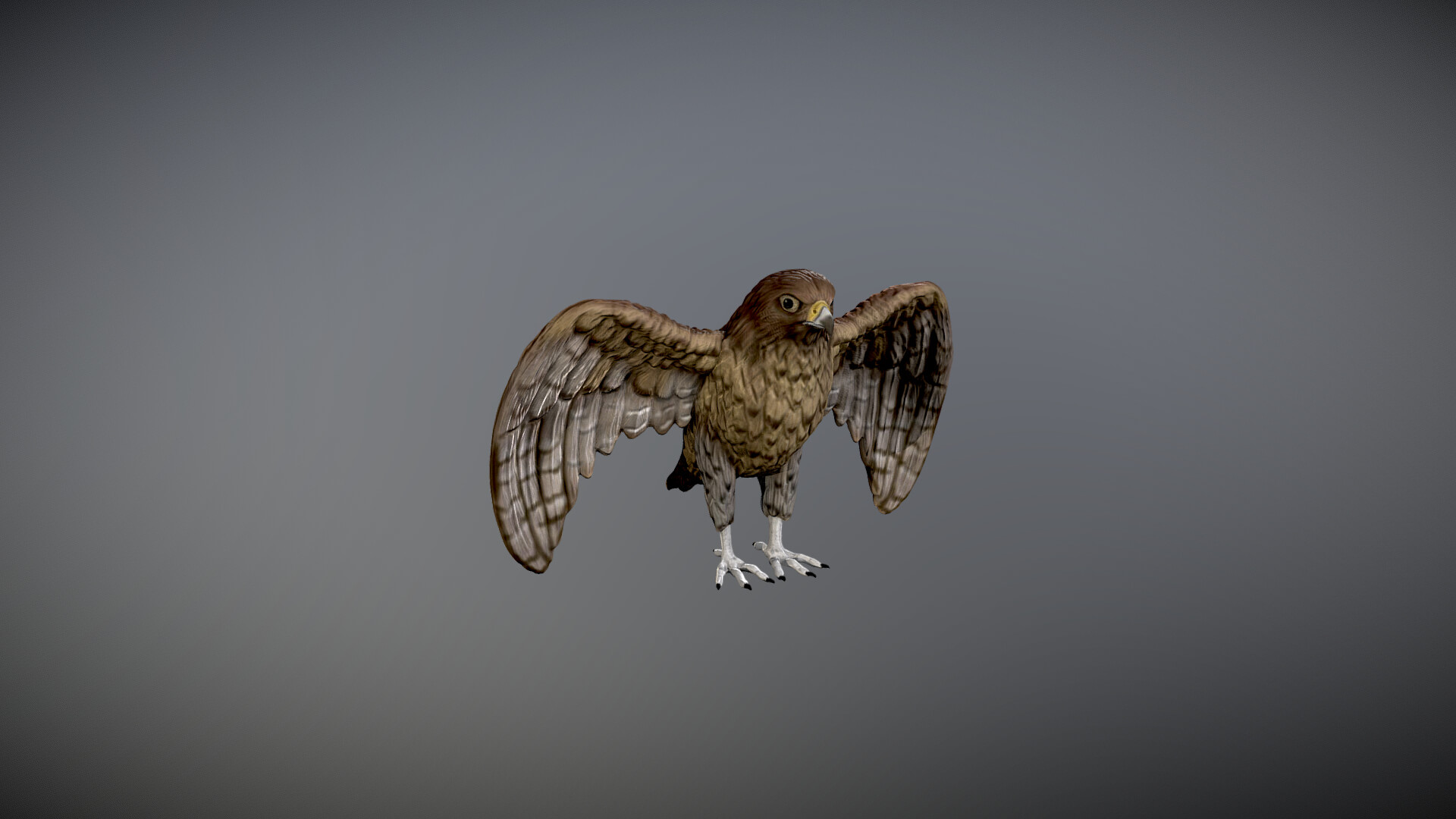 Hawk 3D Model 3D Printable by AdminPieveSalta