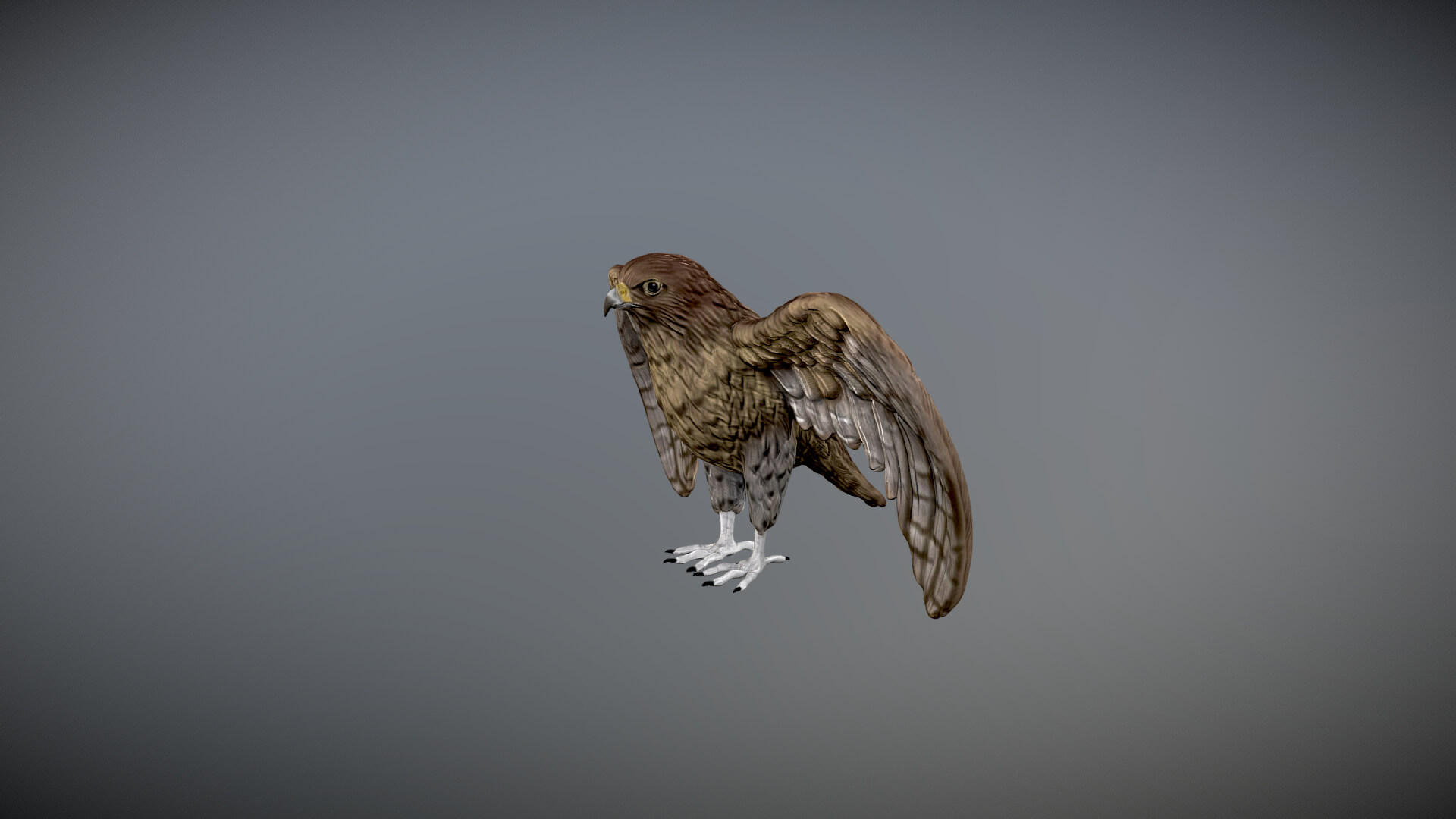 Hawk bird Statue - 3D Model by AdminPieveSalta
