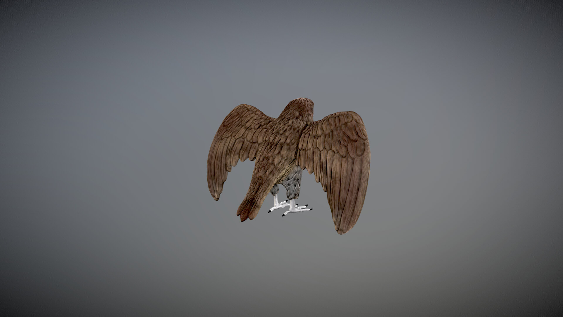 Hawk 3D Model 3D Printable by AdminPieveSalta