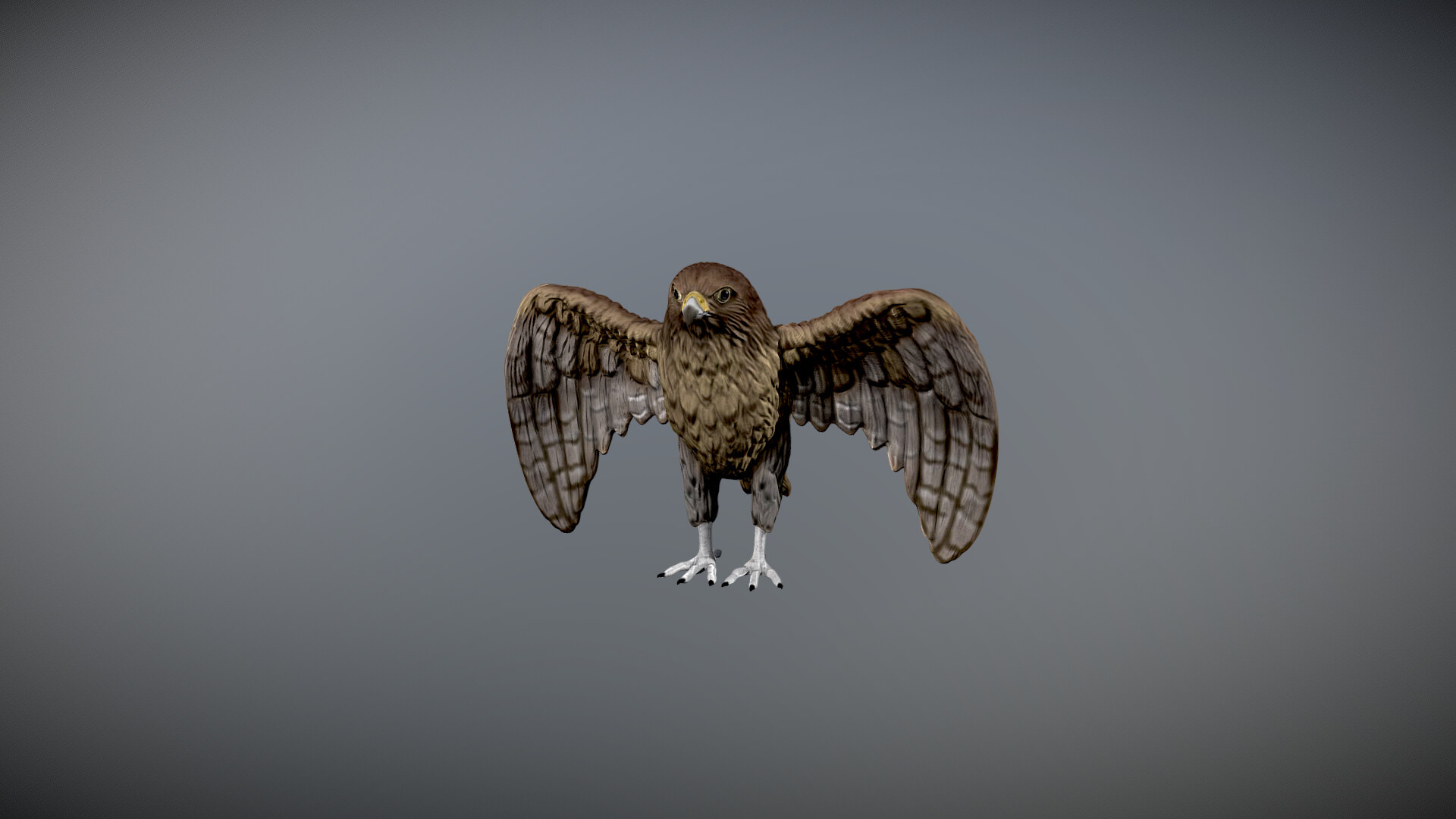 Hawk 3D Model 3D Printable by AdminPieveSalta