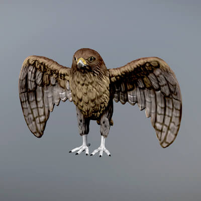 Hawk bird Statue - 3D Model by AdminPieveSalta