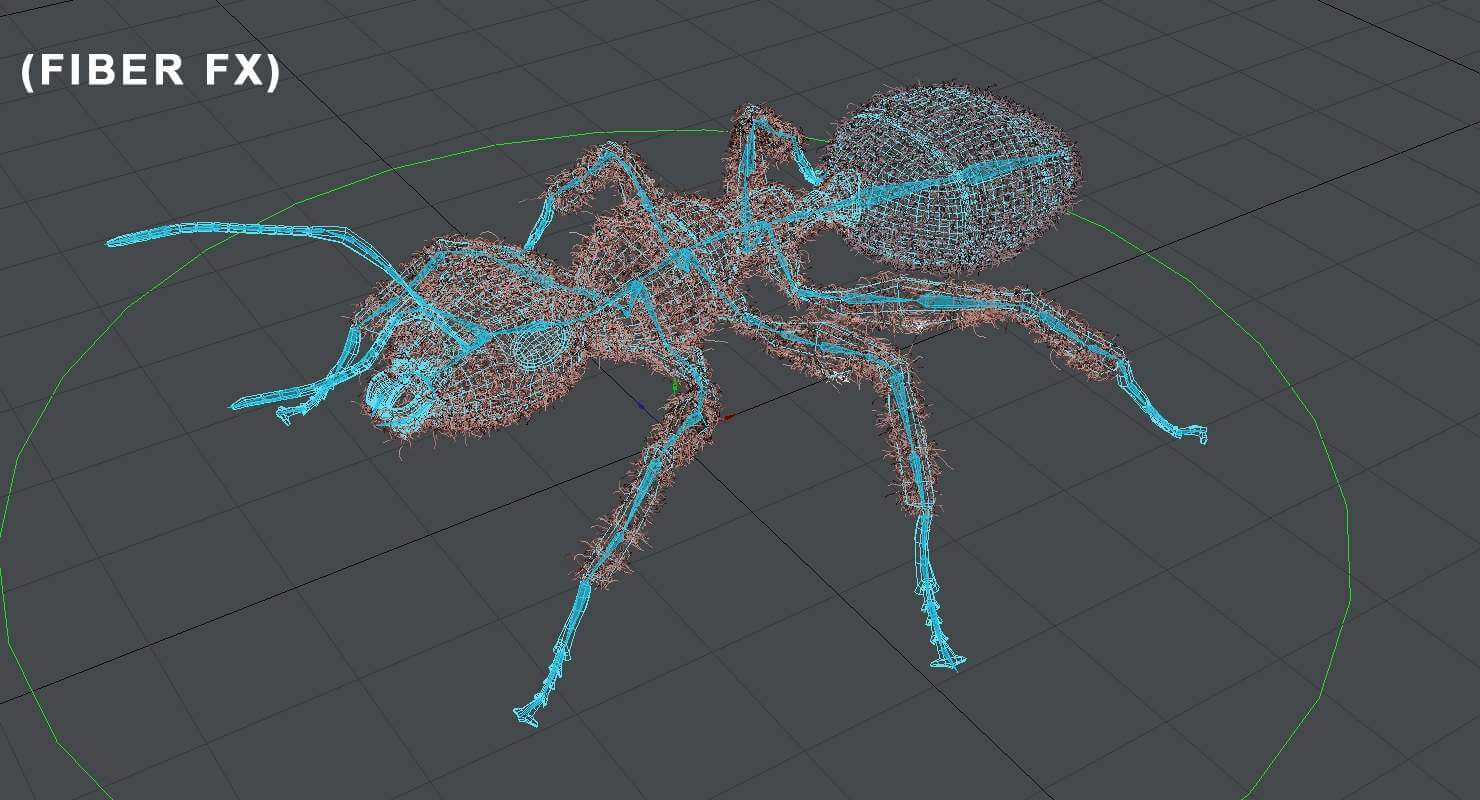 Ant - 3D Model by adriankulawik