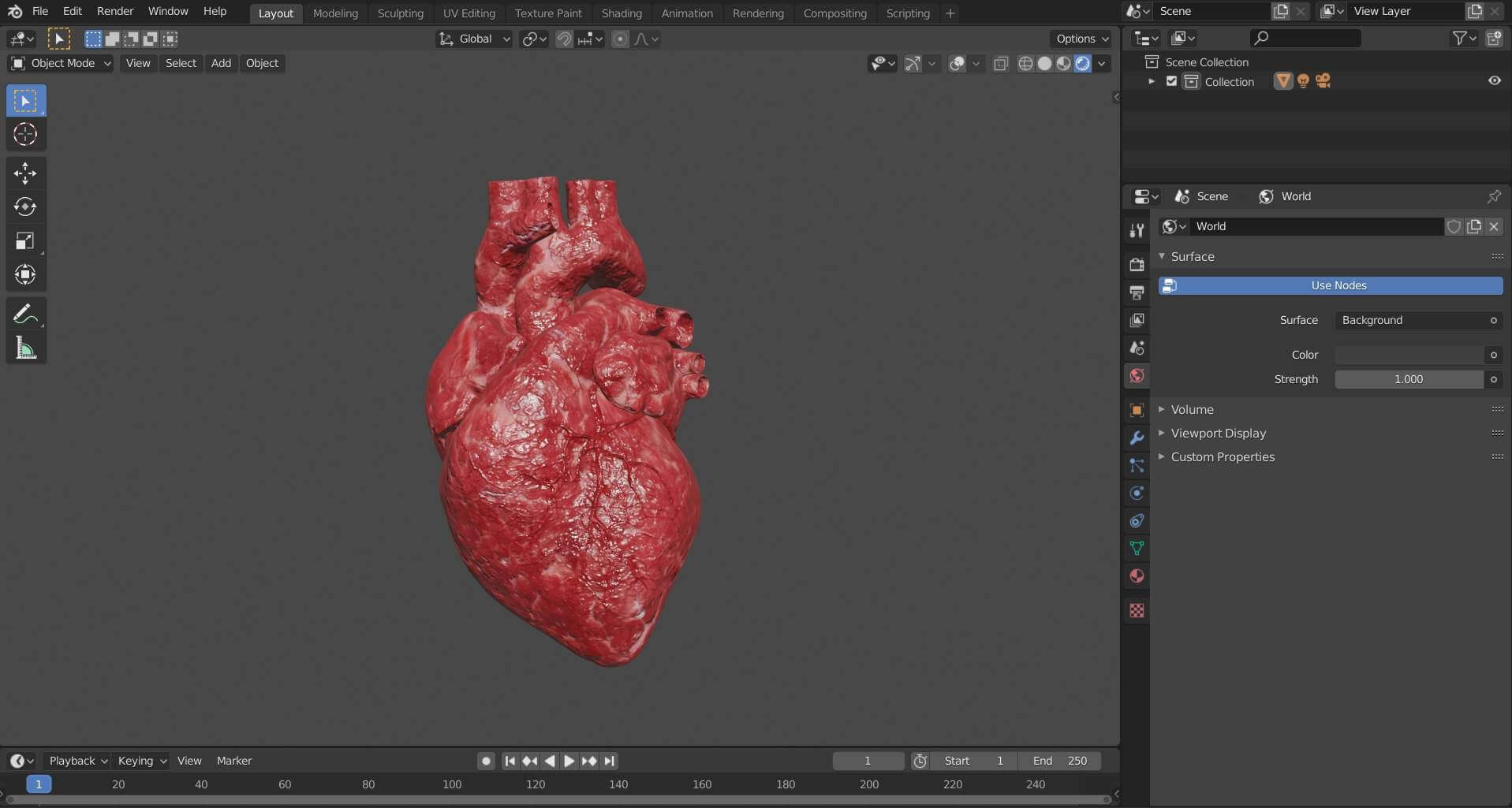 Human Heart - 3D Model by adriankulawik