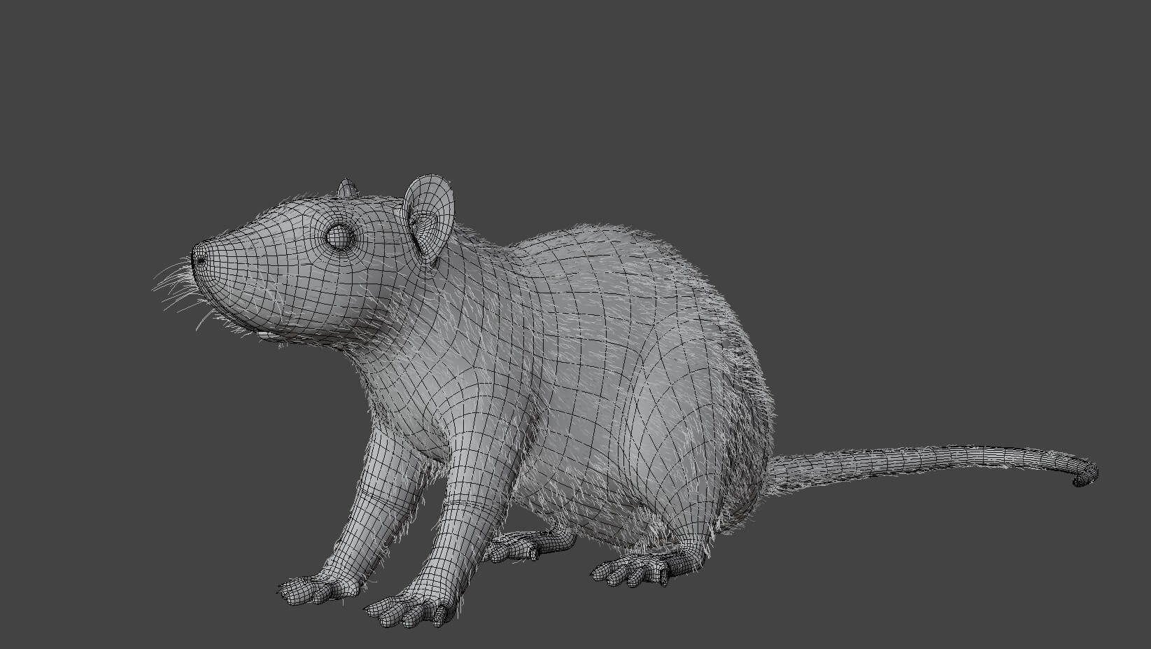 Rat - 3D Model by adriankulawik