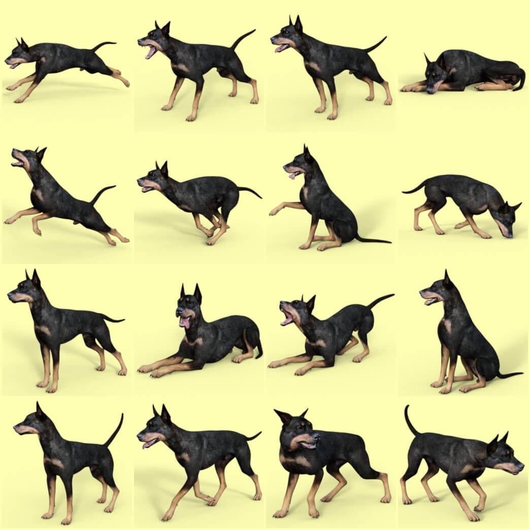 Poses for Doberman Standalone - Daz Content by Aesli