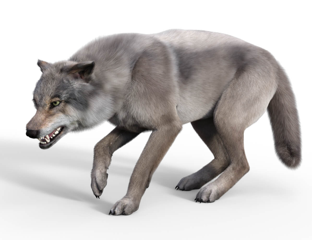 Poses for Wolf Standalone Figure - Daz Content by Aesli