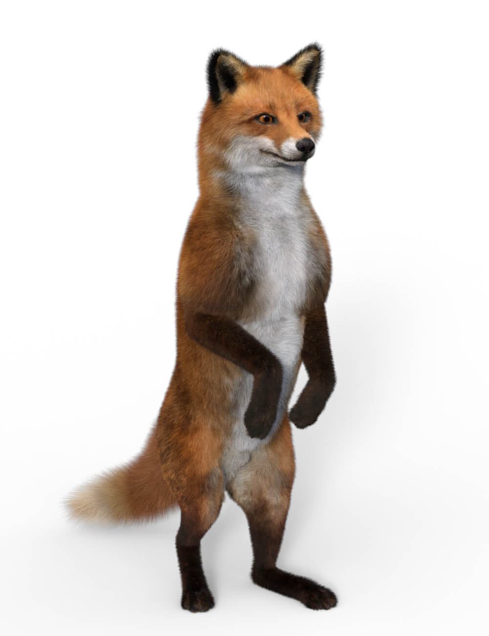 Sixteen Fox Poses - Daz Content by Aesli
