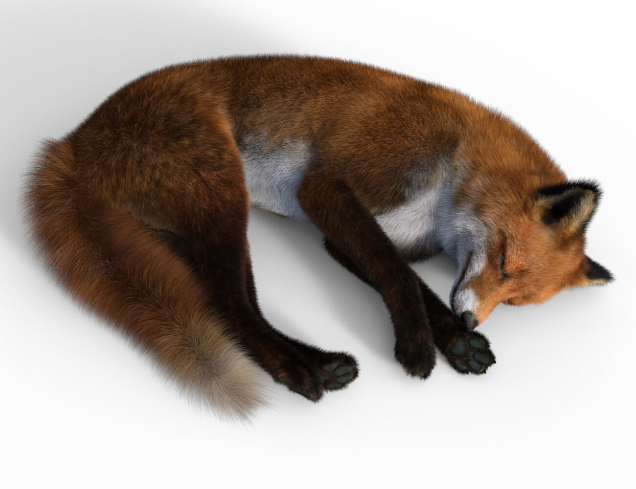 Sixteen Fox Poses - Daz Content by Aesli