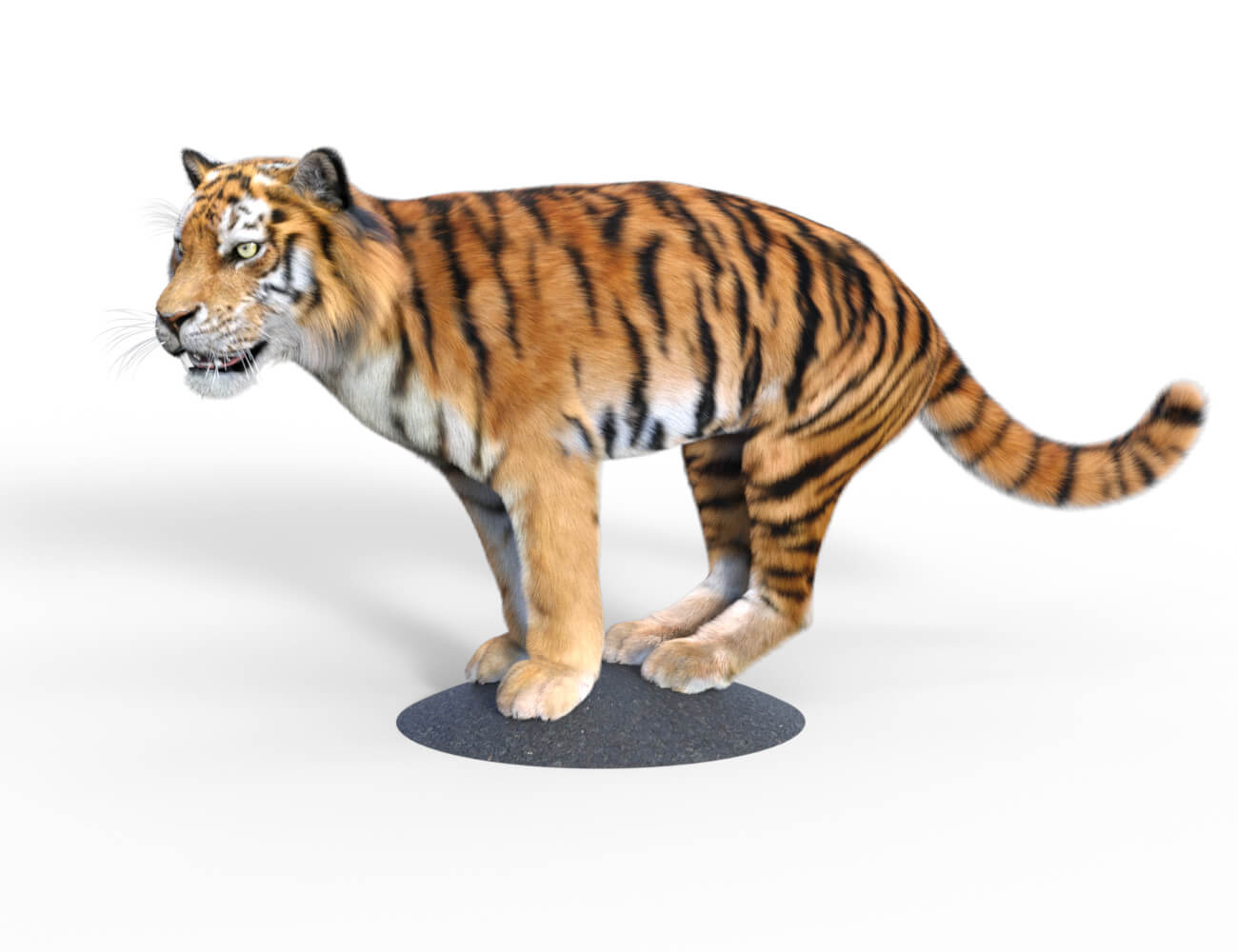 Tom Tiger Aesli Poses - Daz Content by Aesli