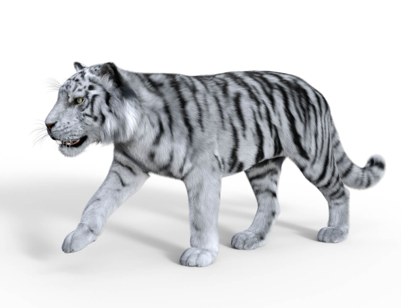 Tom Tiger Aesli Poses - Daz Content by Aesli