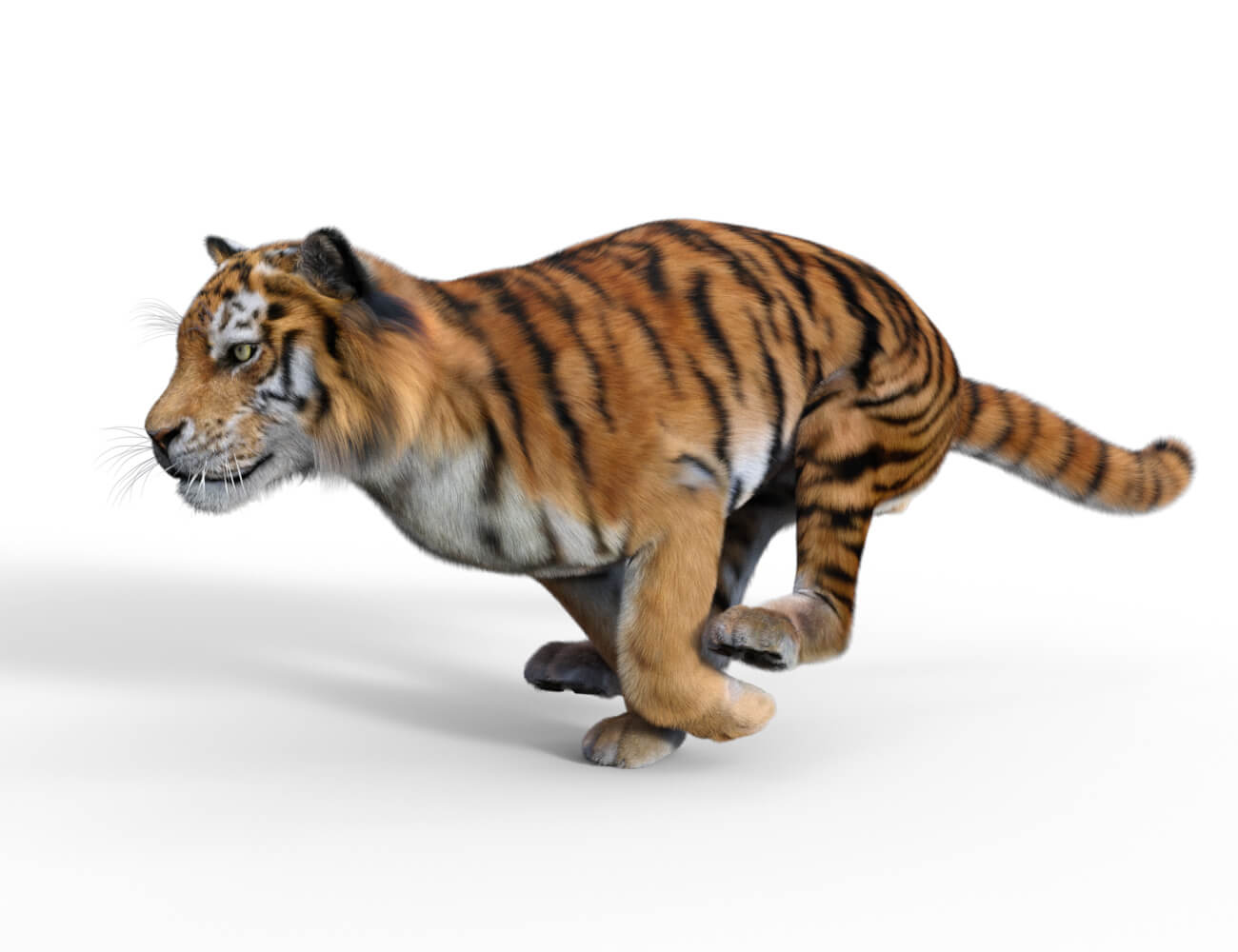 Tom Tiger Aesli Poses - Daz Content by Aesli