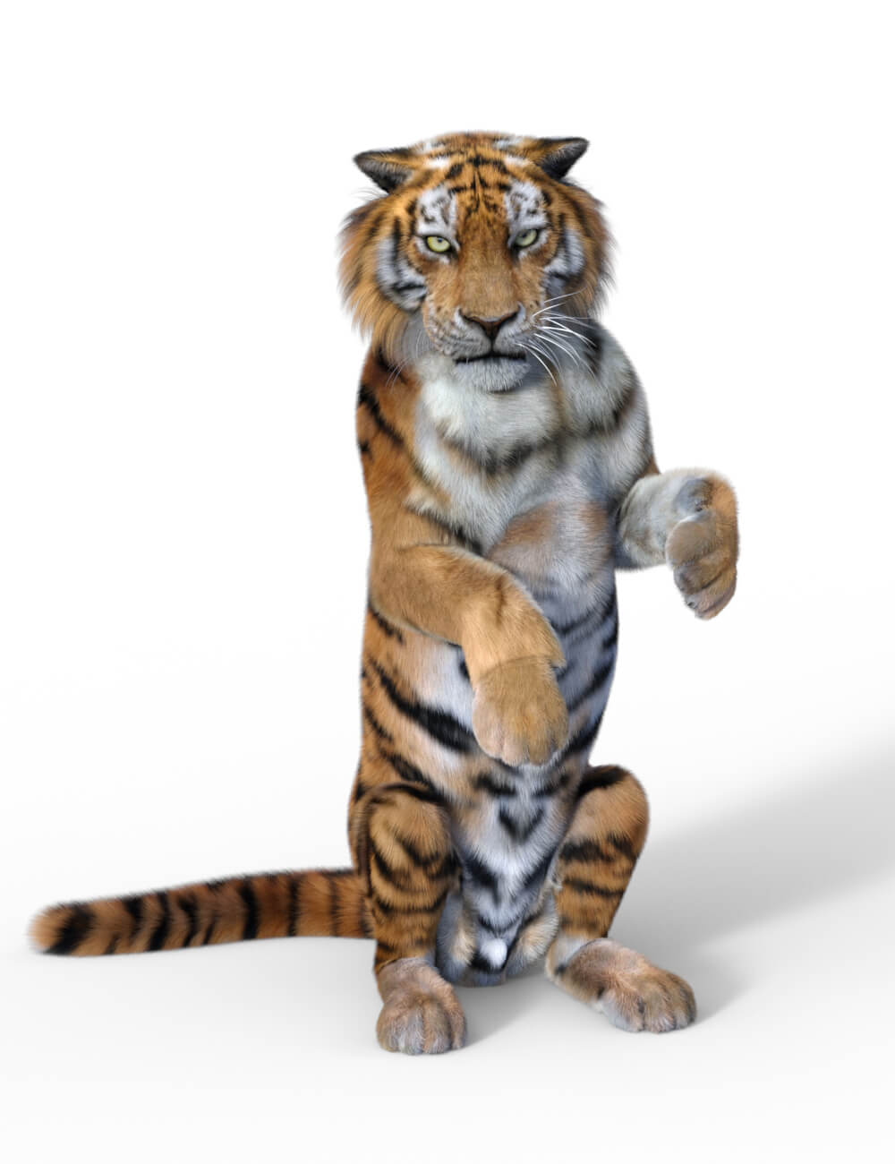 Tom Tiger Aesli Poses - Daz Content by Aesli