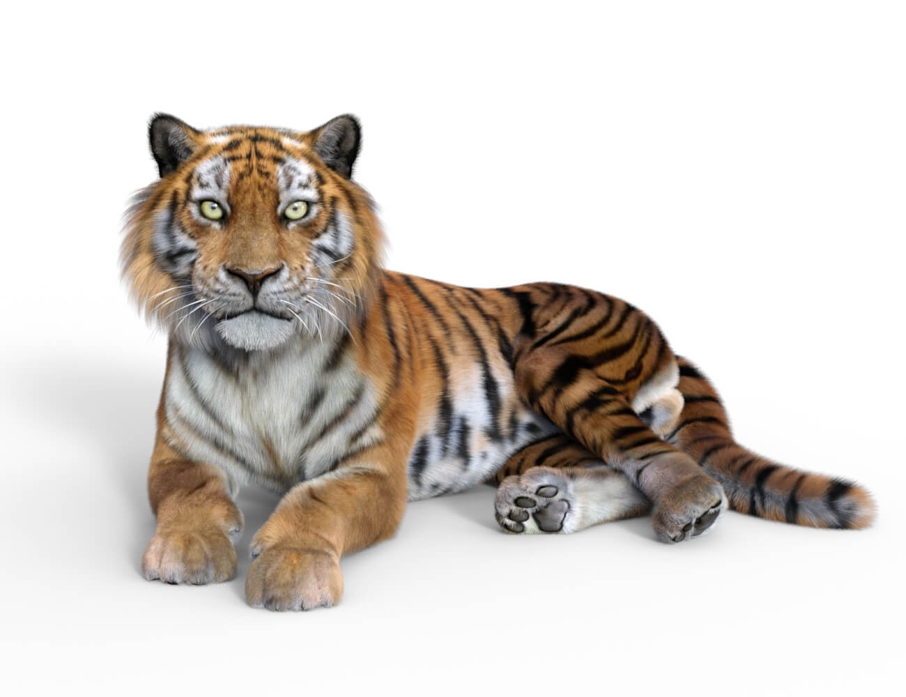 Tom Tiger Aesli Poses - Daz Content by Aesli