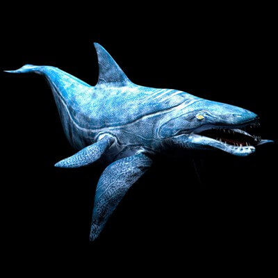Sea Monster - 3D Model by Ajaxsuz