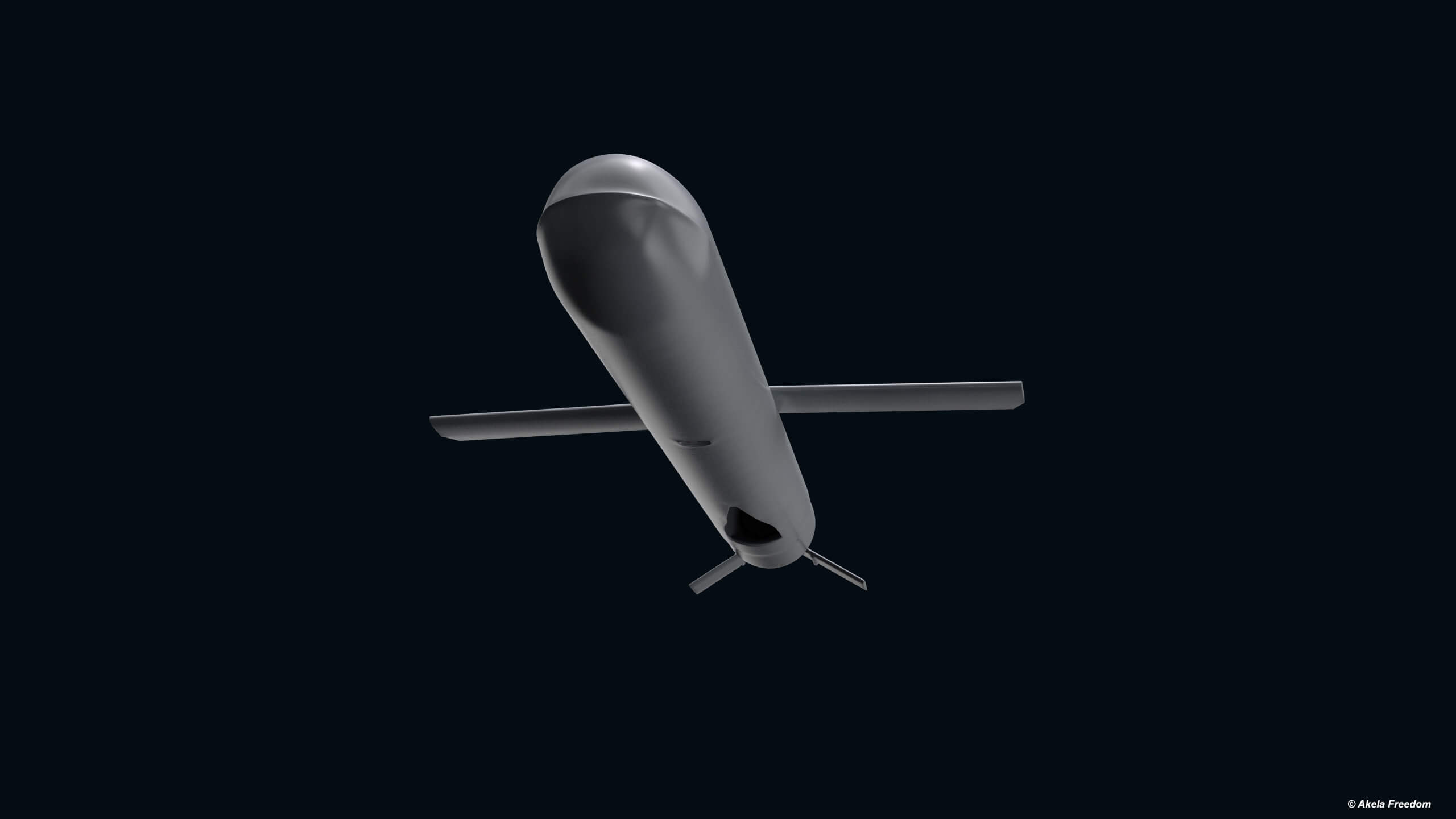 Tomahawk Block V Missile - 3D Model by Akela Freedom