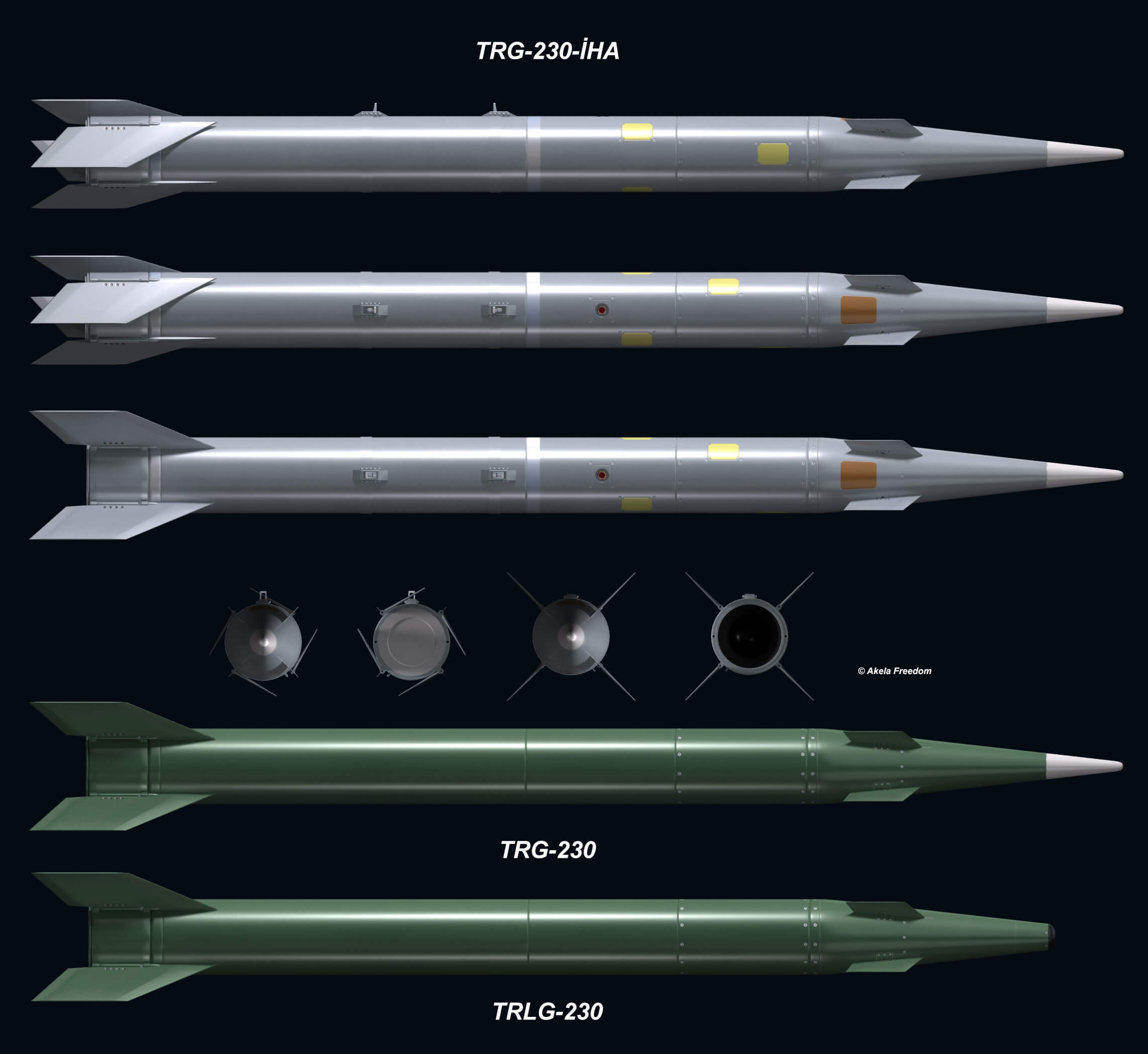 TRG-230 Family of Guided Missiles 3D Model by Akela Freedom