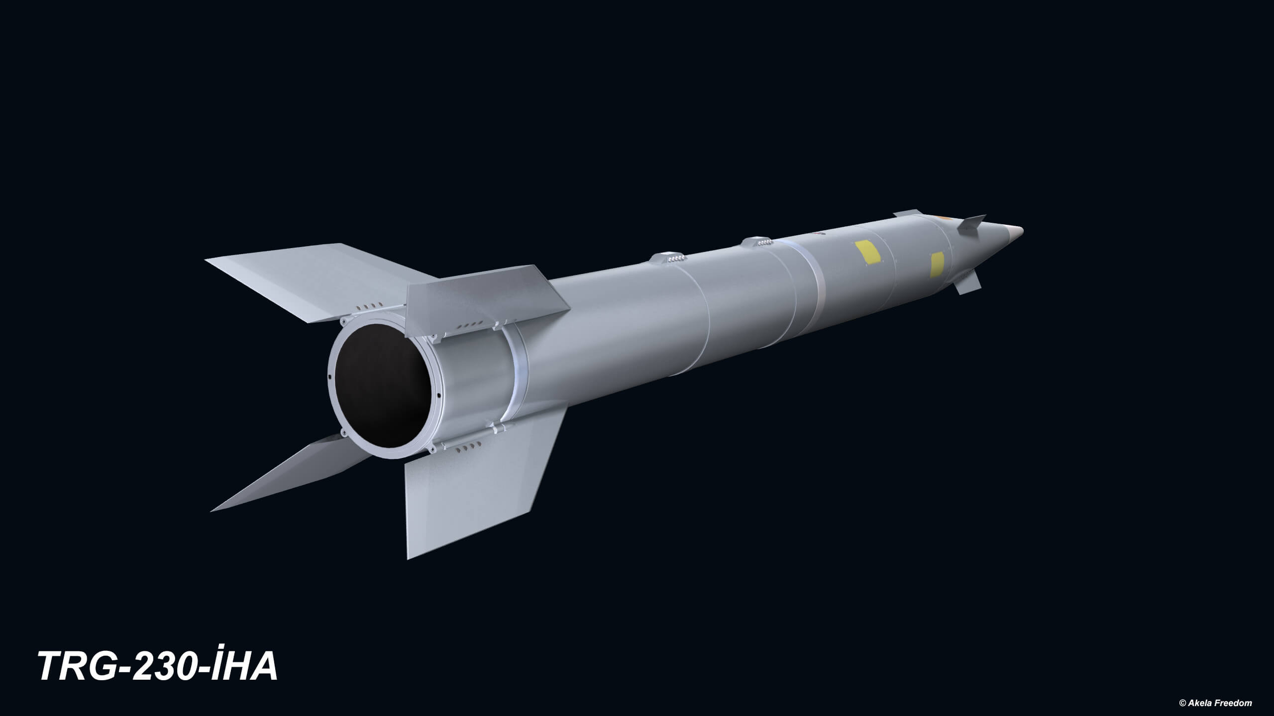 TRG-230 Family of Guided Missiles 3D Model by Akela Freedom