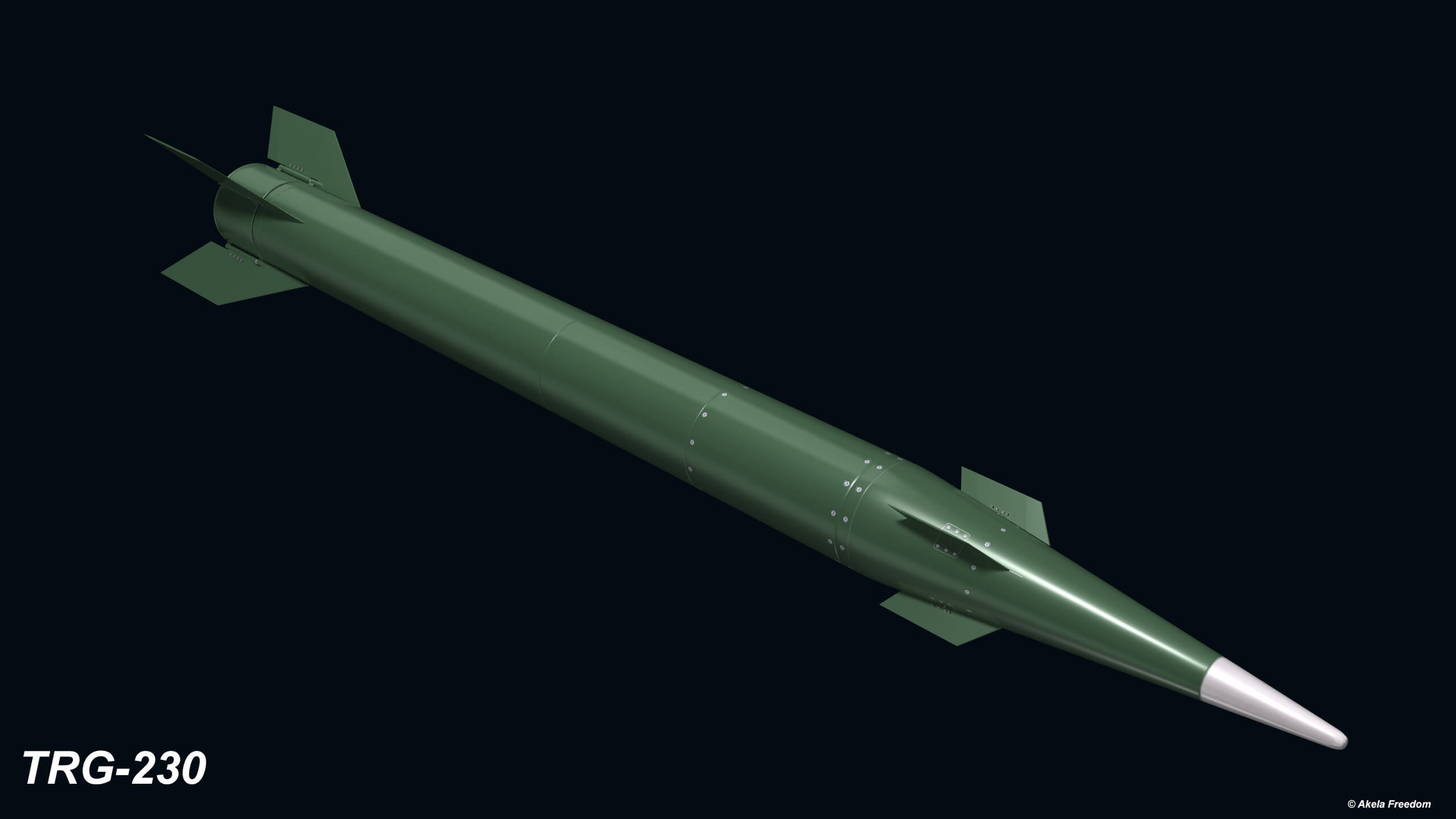 TRG-230 Family of Guided Missiles 3D Model by Akela Freedom