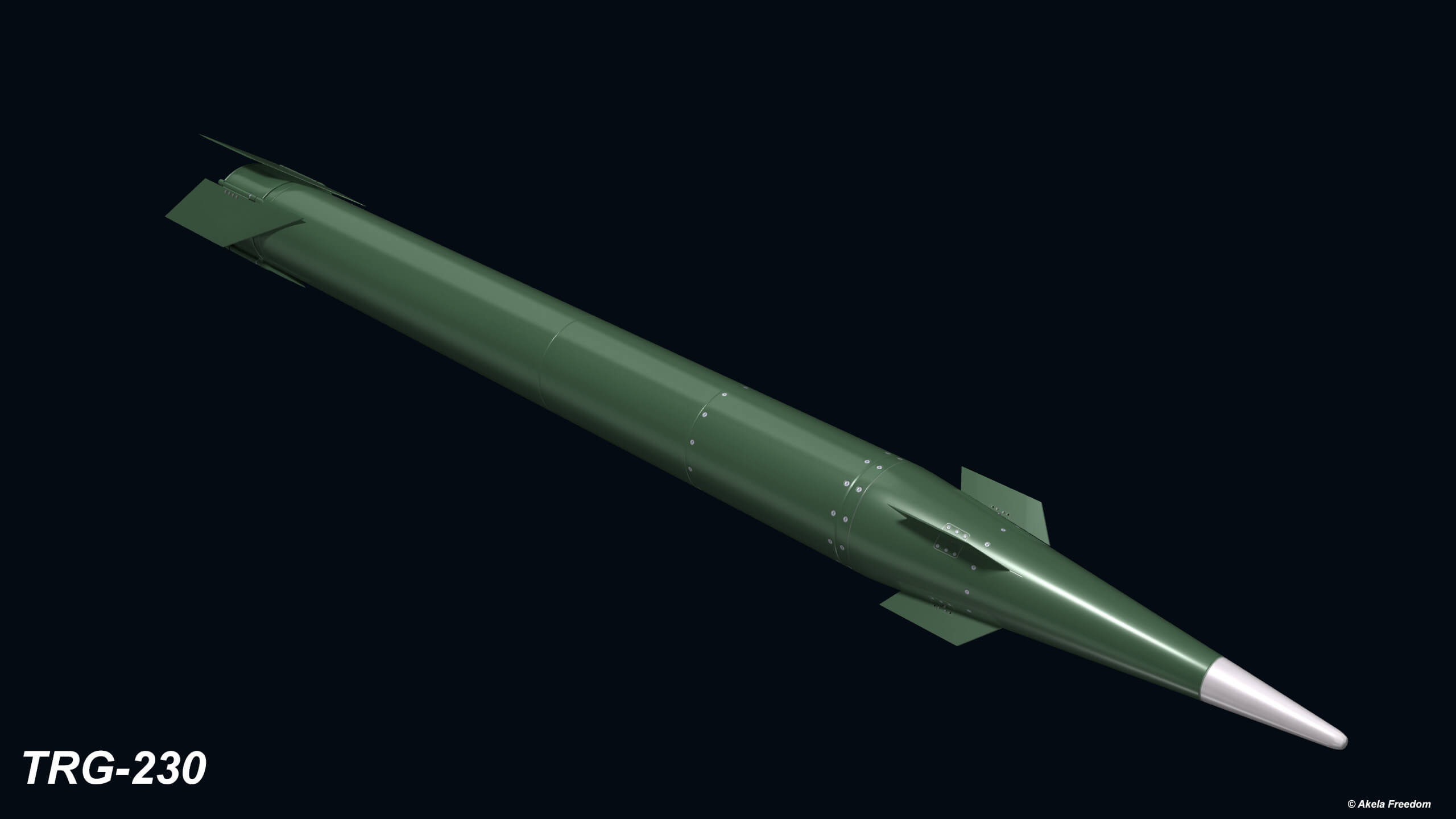 TRG-230 Family of Guided Missiles 3D Model by Akela Freedom