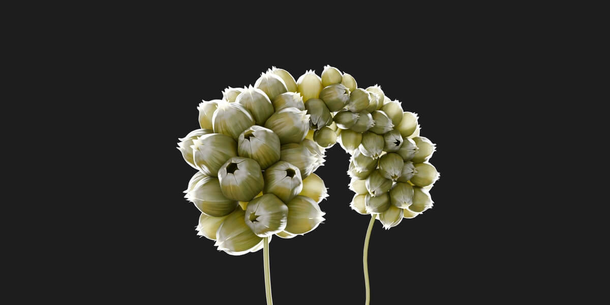 Fictional Plant - 3D Model by AlaaEddineZair