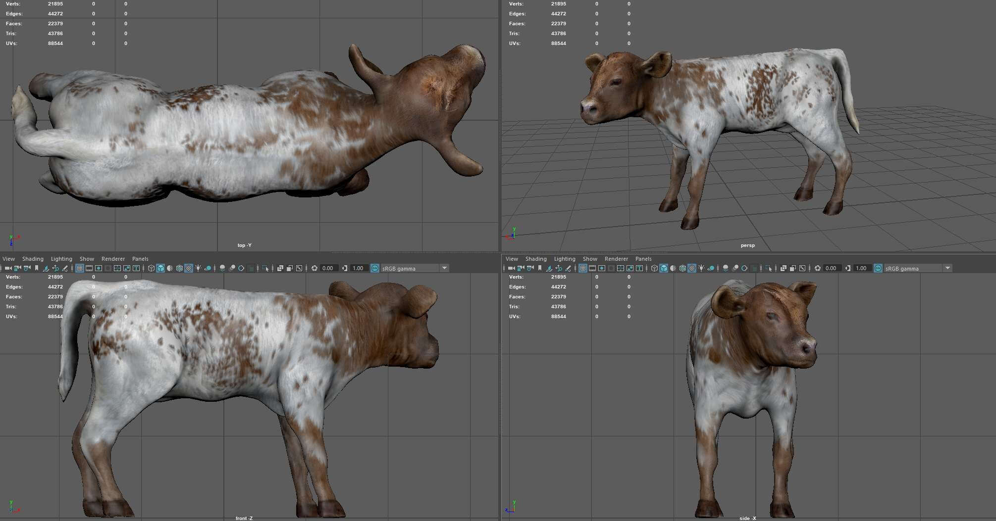 Calf - 3D Model by alenfsl